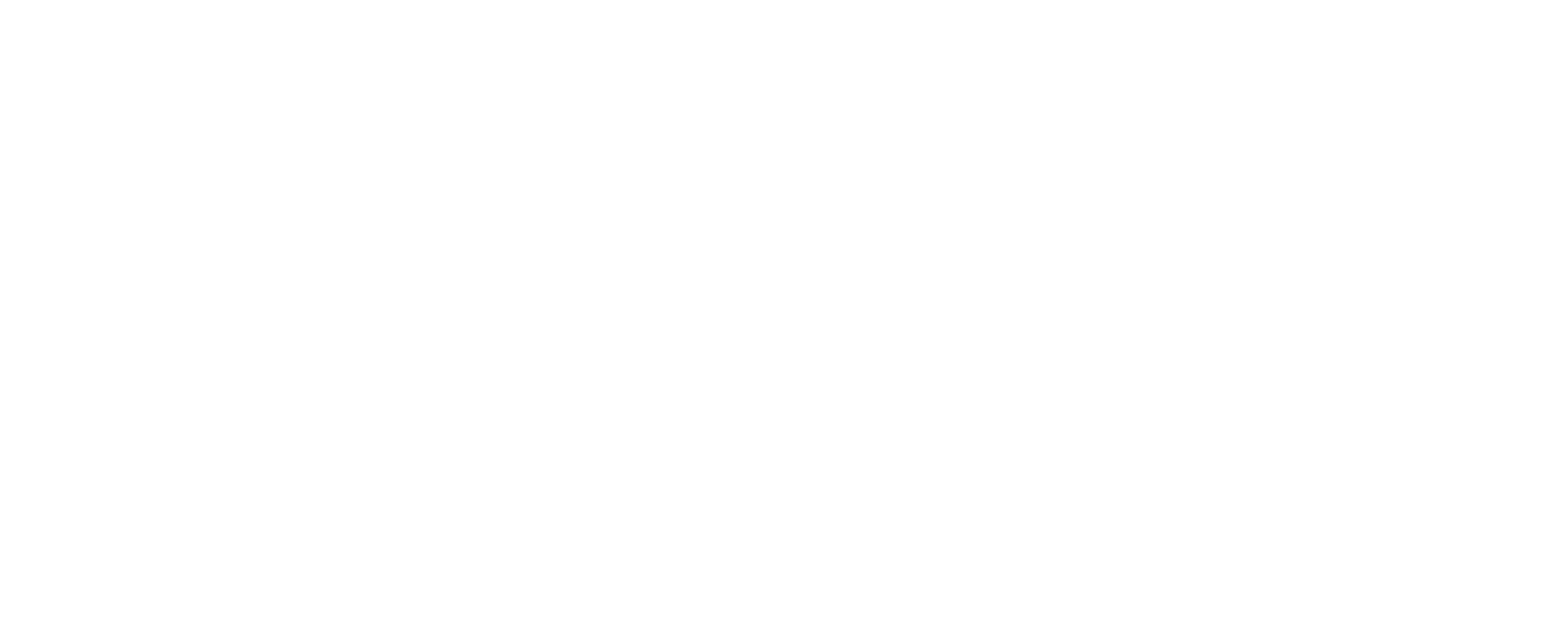 Vision Splendid Film Festival